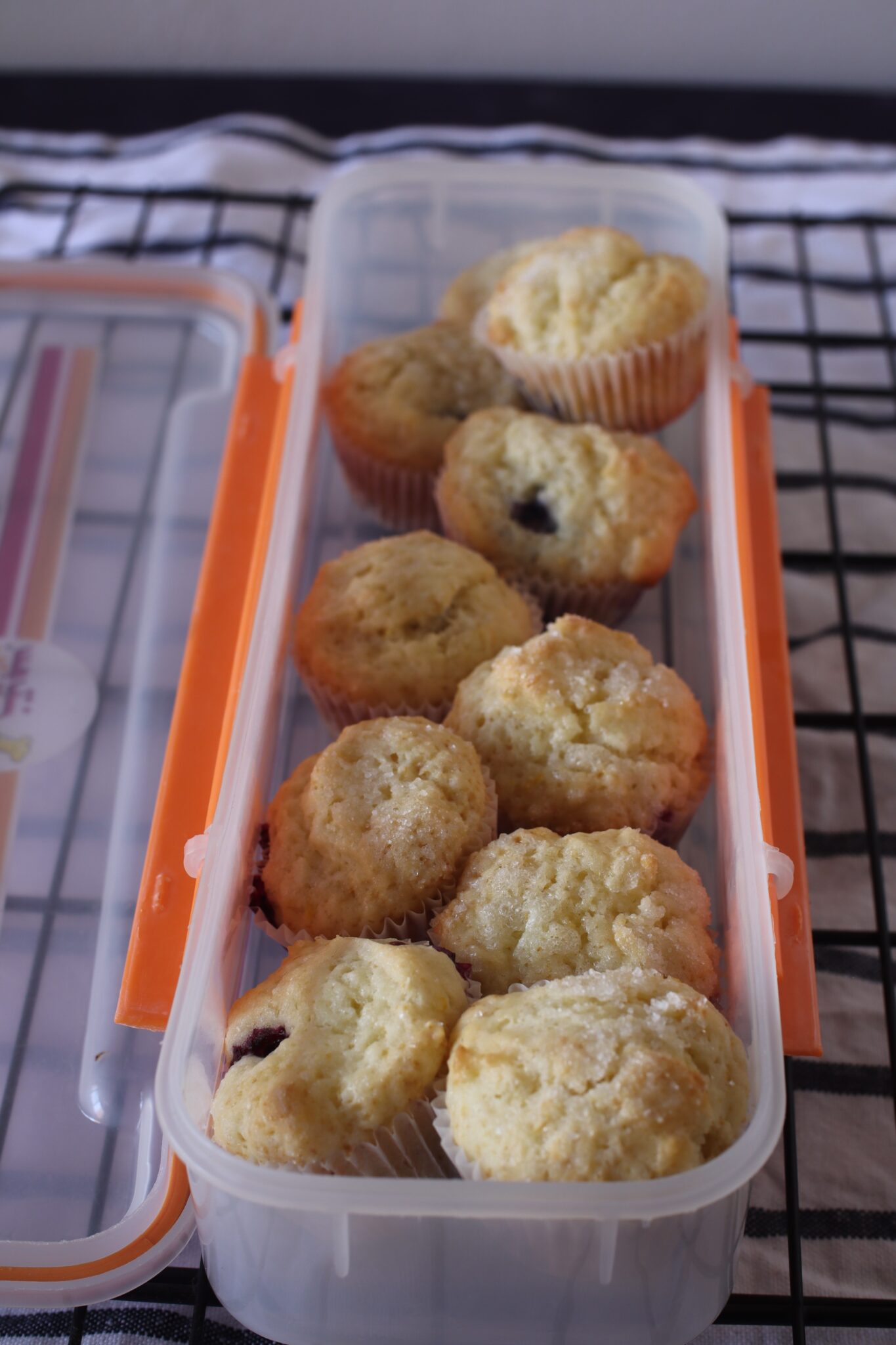 Mini Blueberry Muffins